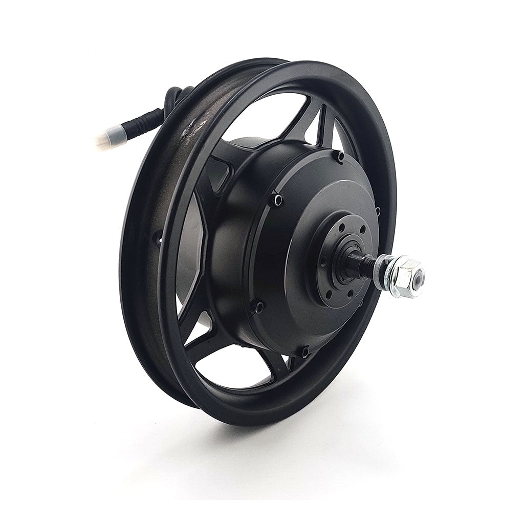 12" 250W Hub Motor