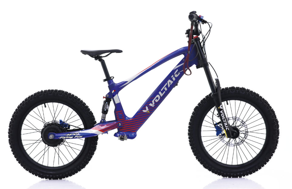 Voltaic Youth Electric Dirt Bike 20'' Flying Fox 48V - H&S Motorsports ...
